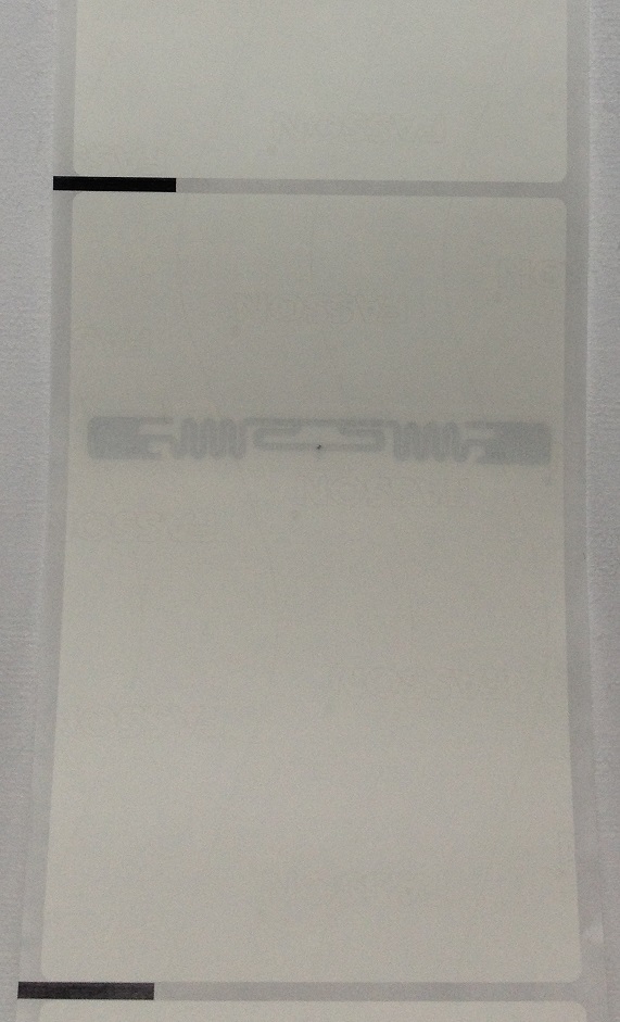 4” x 6” (Alien Higgs 4 Chip) RFID Label